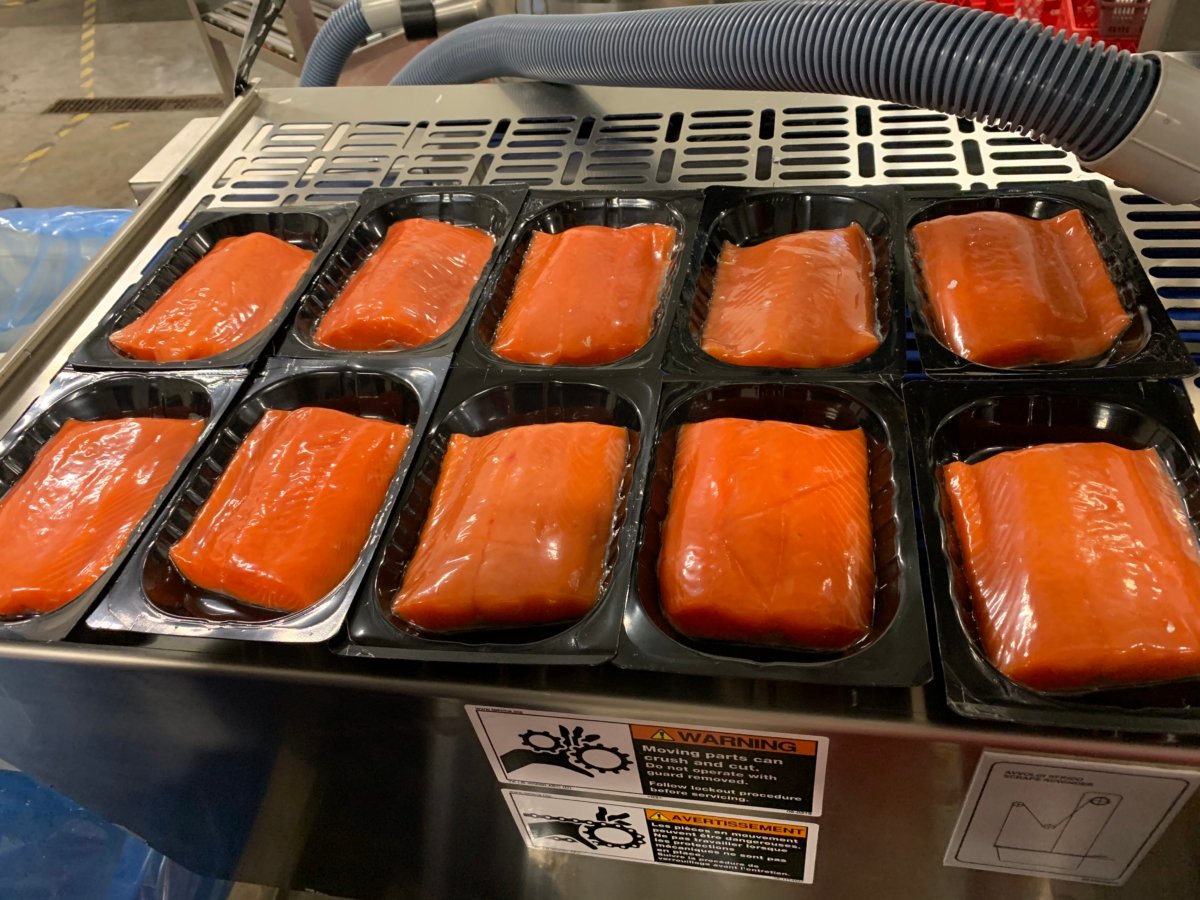 Impulse Thermoforming Machine | Pack3000