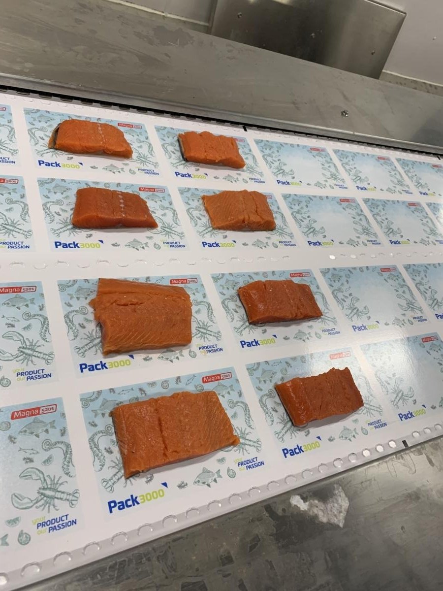 Speciality Applications | Pack3000